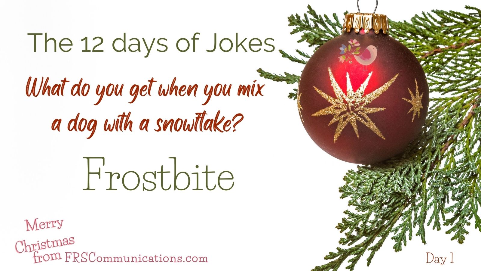 The 12 Days of Jokes – FRS Communications